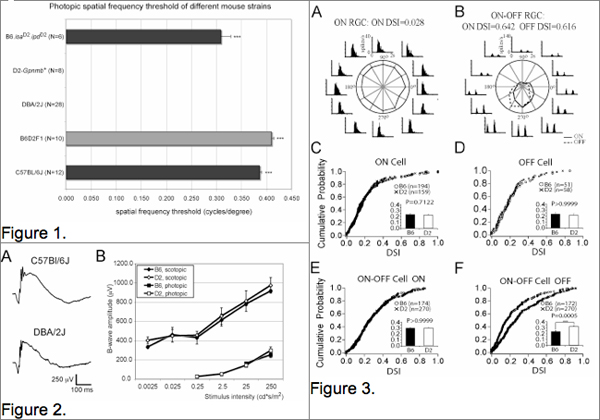 DBA/2J鼠标缺少视动头转反射- Webvision - beplay官方下载ios,beplay体育苹果